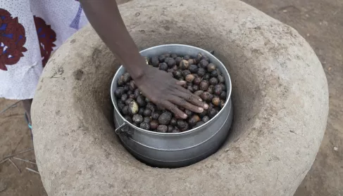 Shea Seeds: The AAK Kolo Nafaso Program Designing sustainable supply ...
