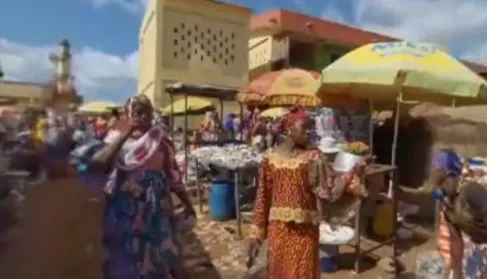 Shea Seeds: The AAK Kolo Nafaso Program Designing sustainable supply ...